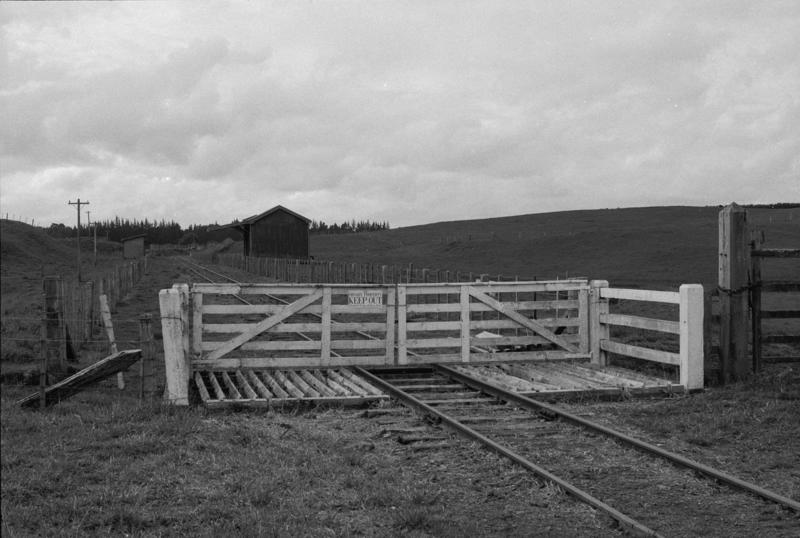 Photograph of cattle stop and gate - Museum of Transport and Technology ...