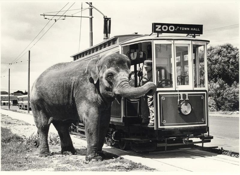Stage 2 Tramway extension - to Zoo - Museum of Transport and Technology ...
