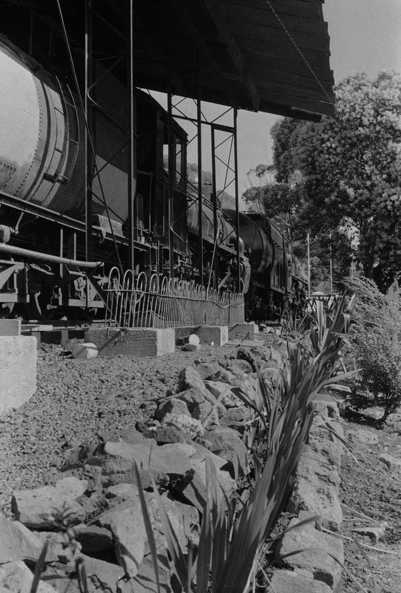 Photograph of MOTAT in the early 1970s - Museum of Transport and ...