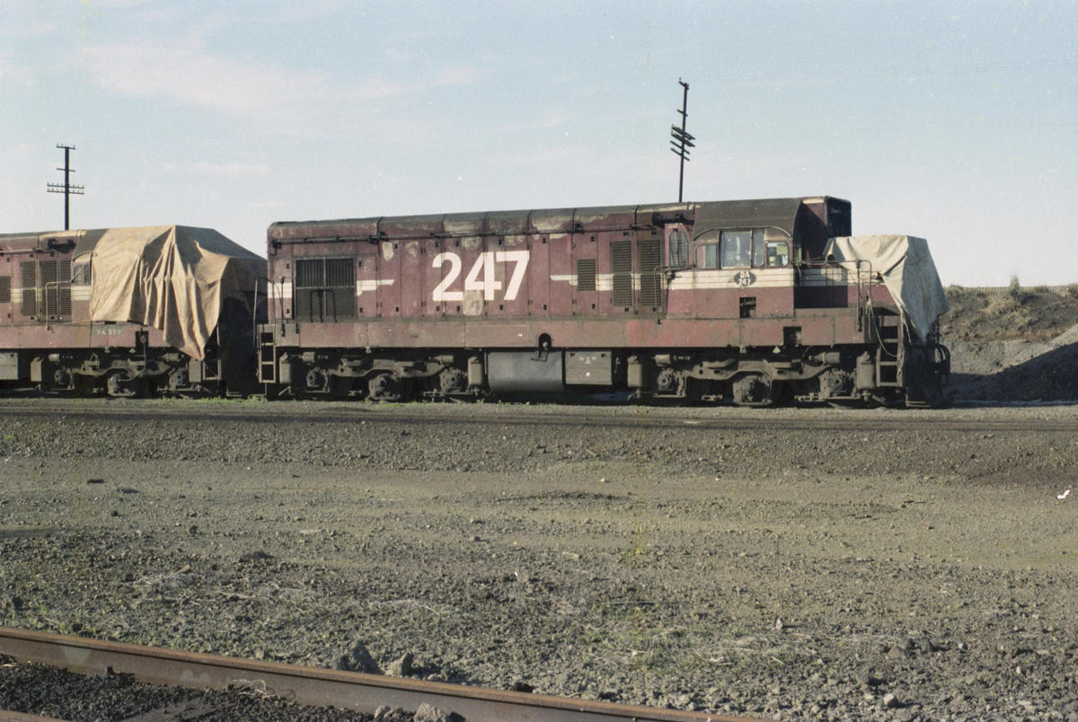 Photograph of locomotive DA 247 - Museum of Transport and Technology ...