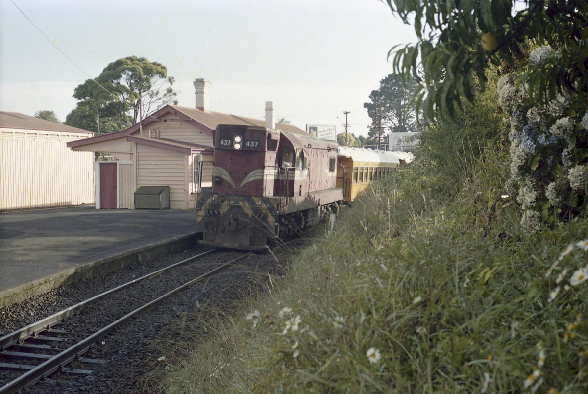 Photograph of Avondale railway station - Museum of Transport and ...