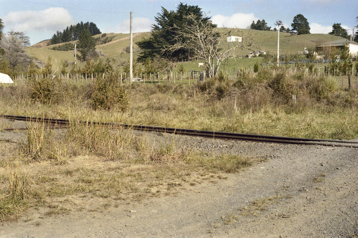 Photograph of level crossing, Ahuroa - Museum of Transport and ...