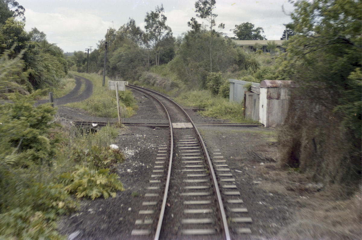 Photograph of track, Otiria - Opua line. - Museum of Transport and ...
