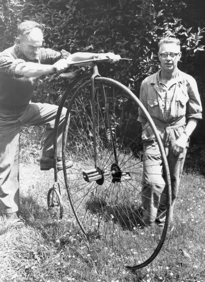 Penny farthing bicycle - Museum of Transport and Technology, New Zealand