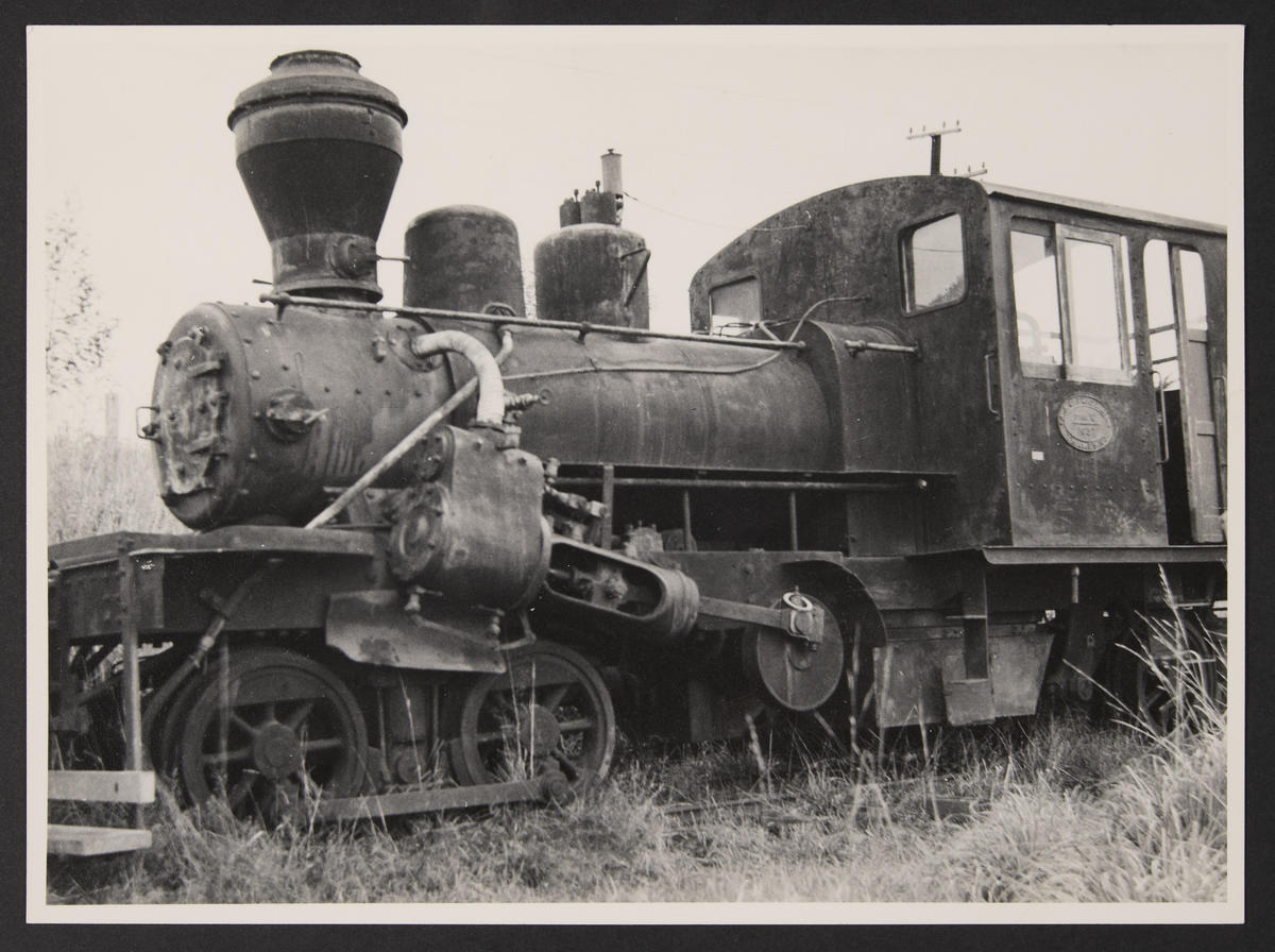 Type E locomotive bush tram resting on overgrown rails. - Museum of ...