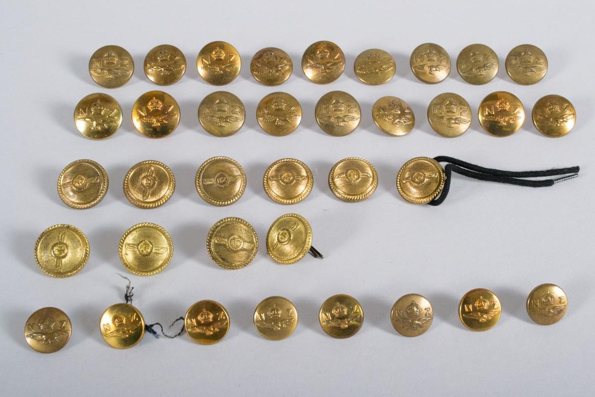 Uniform Buttons [RNZAF] - Museum of Transport and Technology, New Zealand